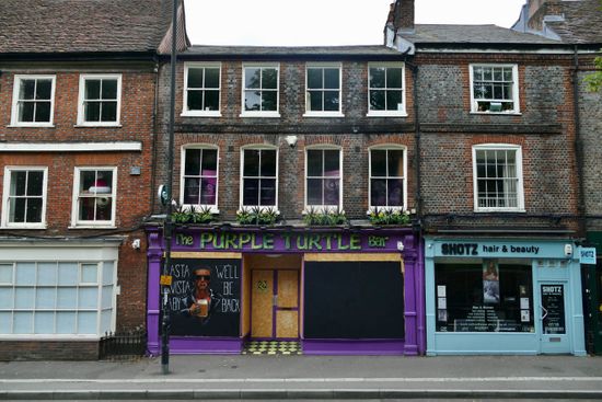 Purple Turtle Bar Arnold Schwarzeneggar Artwork Editorial Stock Photo ...