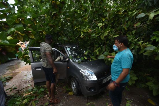 Car Trapped Under Tree That Felled Editorial Stock Photo - Stock Image ...
