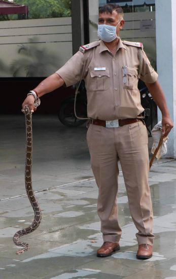 Assistant Sub Inspector Asi Silak Ram Editorial Stock Photo - Stock ...