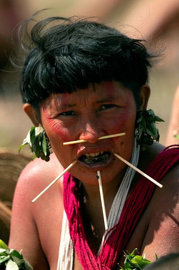 Portrait Member Yanomami People Surucucu Region Editorial Stock Photo ...