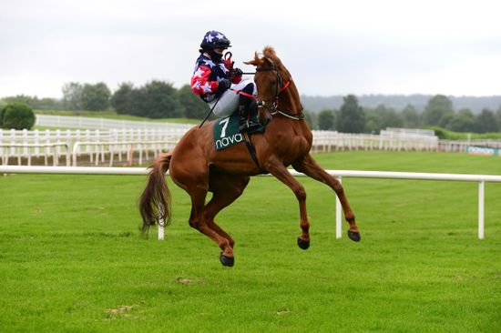 Navan Jockey Siobhan Rutledge Eventually Loses Editorial Stock Photo ...