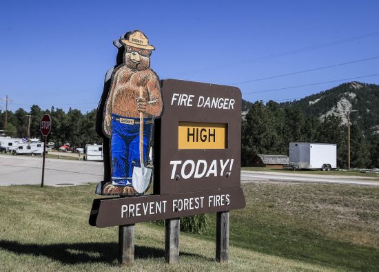 Us Forest Service Warning Sign Alerts Editorial Stock Photo - Stock ...