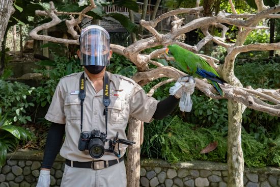 Zookeeper Wears Protective Face Mask Reopened Editorial Stock Photo ...