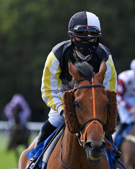 Little Palaver Ridden By Imogen Carter Editorial Stock Photo - Stock ...