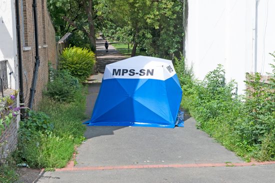 Forensic Tent Covering Body Police Detectives Editorial Stock Photo ...