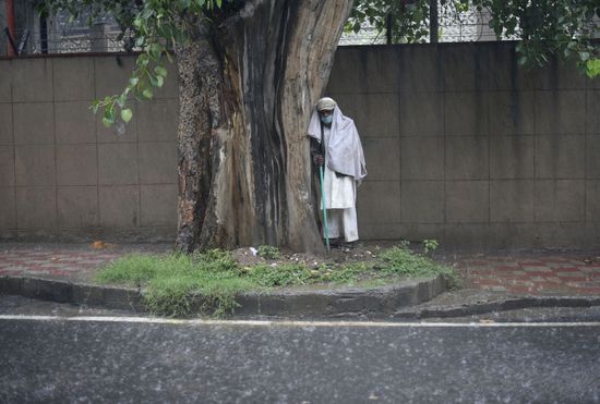 Elderly Man Takes Cover Under Tree Editorial Stock Photo - Stock Image ...