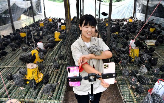 Live Streamer Li Meng Sells Plymouth Editorial Stock Photo - Stock ...