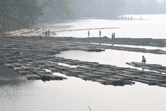 Indian Labourers Manouver Pontoon Bamboo Poles Editorial Stock Photo ...