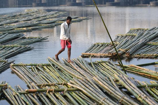 Indian Labourers Manouver Pontoon Bamboo Poles Editorial Stock Photo ...