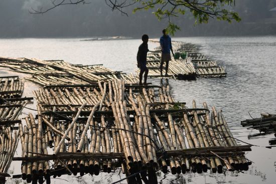 Indian Labourers Manouver Pontoon Bamboo Poles Editorial Stock Photo ...