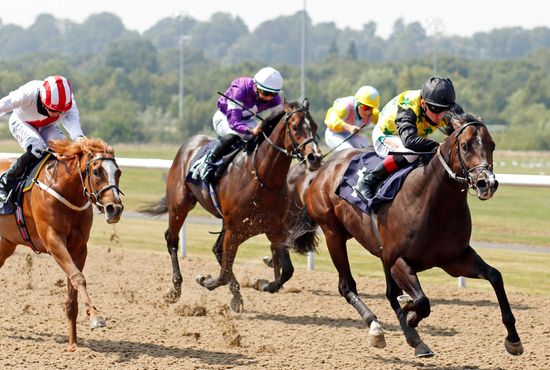 Aussie Stormer Shane Kelly Wins Visit Editorial Stock Photo - Stock ...