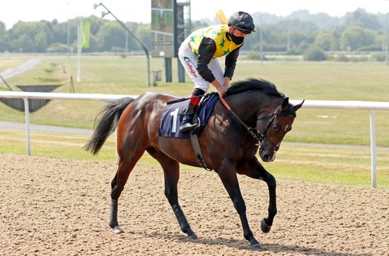 Aussie Stormer Shane Kelly Wins Visit Editorial Stock Photo - Stock ...