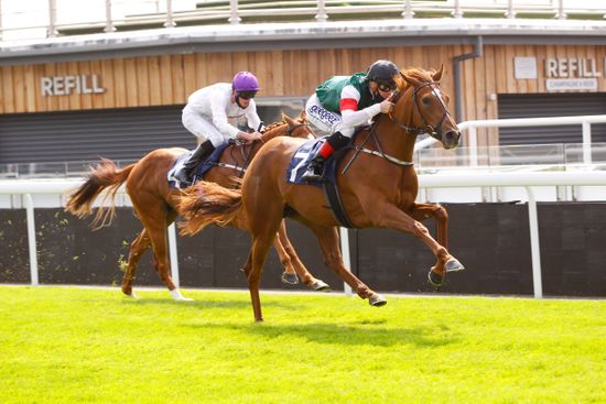 Flying Ginger Callum Rodriquez Win Supporting Editorial Stock Photo ...