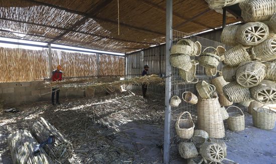 Palestinians Work On Making Cane Baskets Editorial Stock Photo - Stock ...
