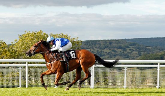 Rafiot Ellie Vaughan Wins Gay Kindersley Editorial Stock Photo - Stock ...