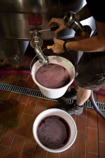 Grape Juice Transferred Vats Vinification Chateau Editorial Stock Photo ...