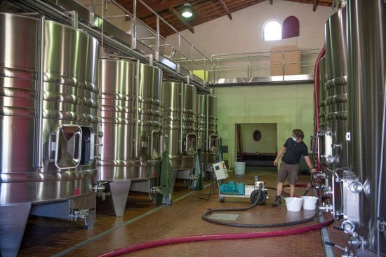 Grape Juice Transferred Vats Vinification Chateau Editorial Stock Photo ...