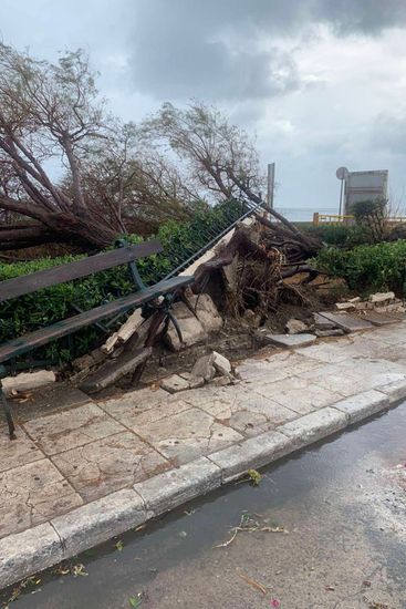 View Tree Knocked Down By Medicane Editorial Stock Photo - Stock Image ...