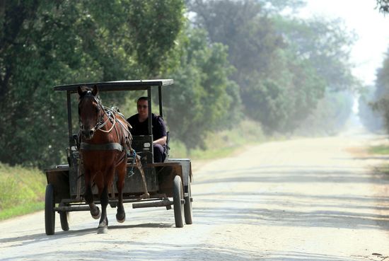 Mennonite Man Rides Carriage Villa Nueva Editorial Stock Photo - Stock ...
