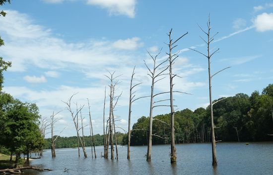 Jackson Lake Island Private Island Alabama Editorial Stock Photo ...