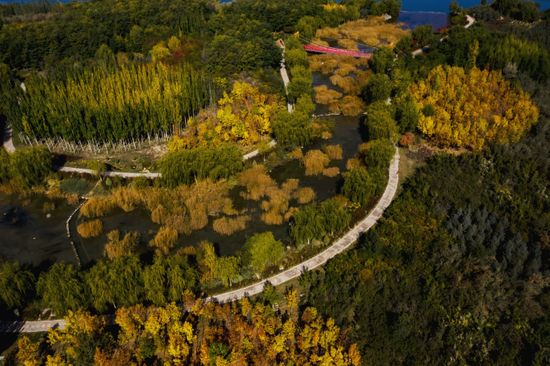 Beauty Lushui Bay Ecotourism Resort Editorial Stock Photo - Stock Image ...