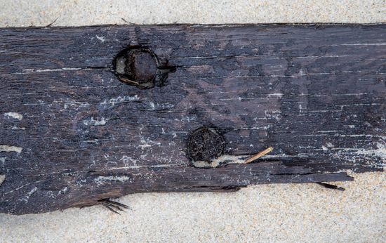 Wooden Pegs Known Treenail Trennel Seen Editorial Stock Photo - Stock ...