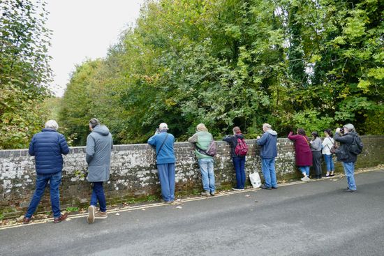Enthusiasts Wait Bridge Pines Express Editorial Stock Photo - Stock ...