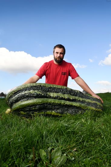 Mark Baggs Massive Marrow a Farmer Editorial Stock Photo - Stock Image ...