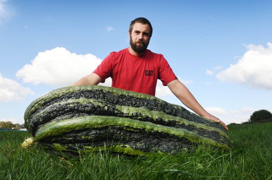 Mark Baggs Massive Marrow a Farmer Editorial Stock Photo - Stock Image ...