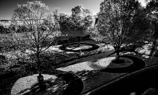 2014 Lexington Ky Usa Jasper Prince Editorial Stock Photo - Stock Image ...