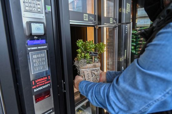 Flower Vending Machine Warsaw Poland 15 Editorial Stock Photo - Stock ...