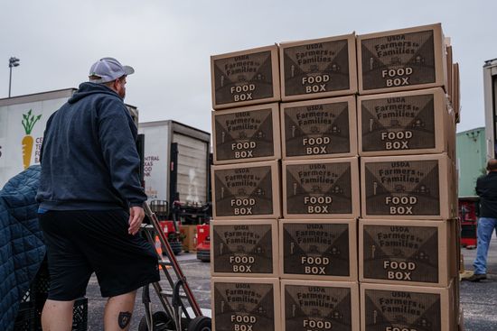 Volunteer Central Texas Food Bank Walks Editorial Stock Photo - Stock ...