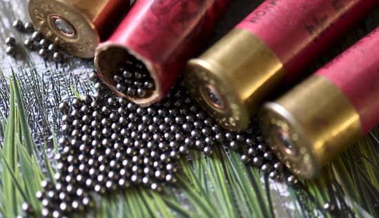 Lead Shots Shotgun Cartridges Helsinki Sept8th Editorial Stock Photo ...