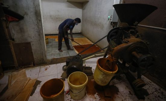 Sri Lankan Worker Igrinding Turmeric Curcuma Editorial Stock Photo ...