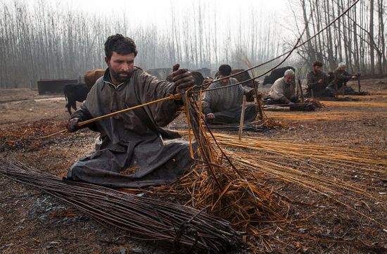 Workers Peel Skin Wicker Sticks Village Editorial Stock Photo - Stock ...