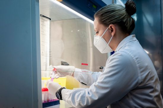 Biomedical Laboratory Technician Marshal Spinelli Seen Editorial Stock ...