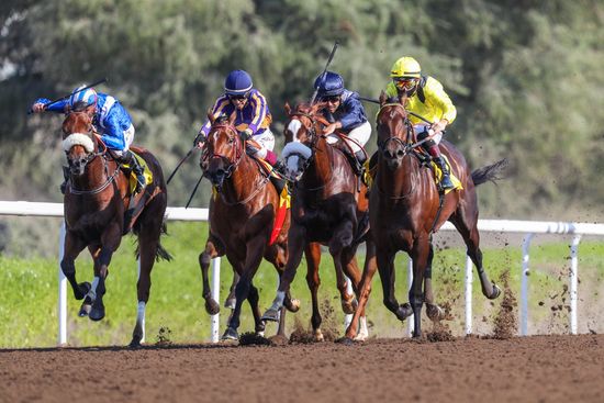 Sadeed Usa Ridden By Ryan Curatolo Editorial Stock Photo - Stock Image ...