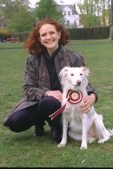 All Pictures Show Moyra Bremner Note Editorial Stock Photo - Stock ...