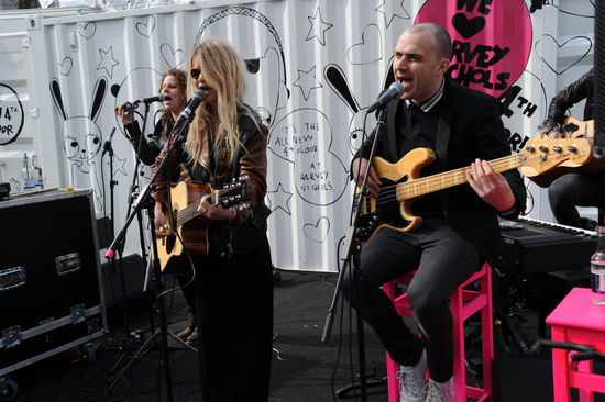 Daisy Dares You Editorial Stock Photo - Stock Image | Shutterstock