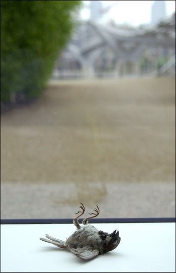 Sparrow Art Tate Modern Sparrow Twitching Editorial Stock Photo - Stock ...