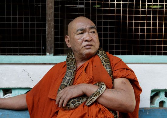 Myanmar Buddhist Monk Wilatha Holds Python Editorial Stock Photo ...