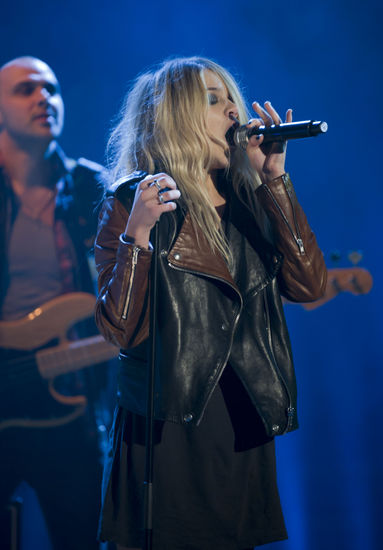 Daisy Dares You Editorial Stock Photo - Stock Image | Shutterstock