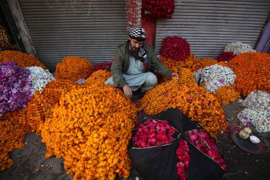 Pakistani Flower Vendor Arranges Flowers His Editorial Stock Photo ...