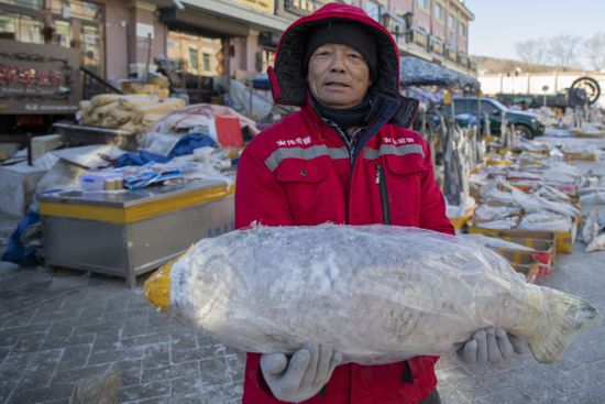 Merchant Shows Frozen Fish Fish Market Editorial Stock Photo - Stock ...