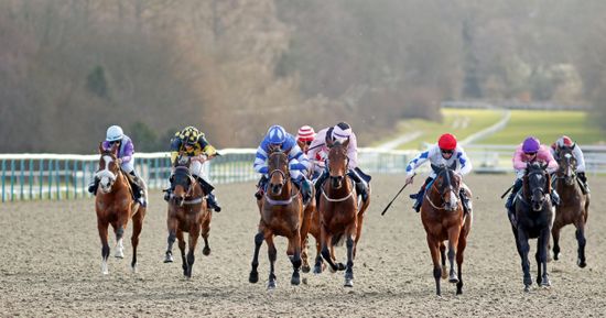 Lucky Ava 3rd Left Martin Dwyer Editorial Stock Photo - Stock Image ...