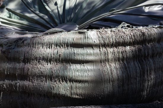 Melted Plastic Water Tank Seen Outside Editorial Stock Photo - Stock ...