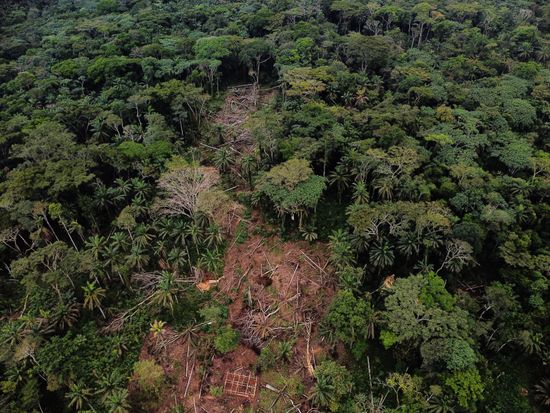 Aerial Photo Taken Drone Shows Deforestation Editorial Stock Photo ...