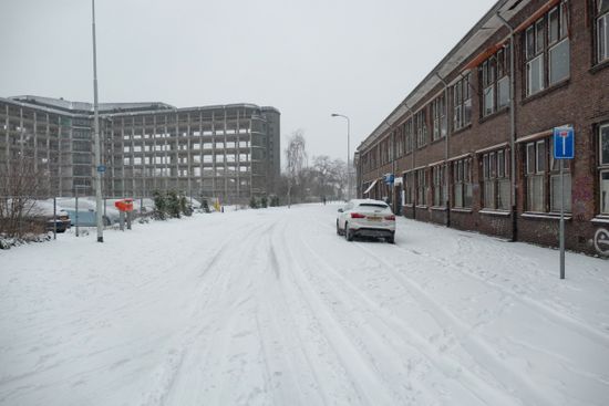 Blizzard Snowstorm Darcy Netherlands First Heavy Editorial Stock Photo ...