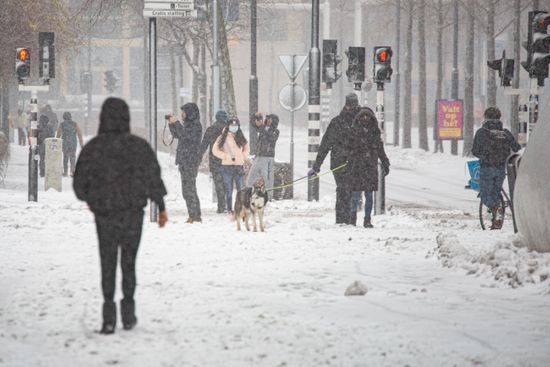 Blizzard Snowstorm Darcy Netherlands First Heavy Editorial Stock Photo ...