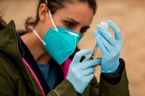 Registered Nurse Emily Enos Prepares Fill Editorial Stock Photo - Stock ...